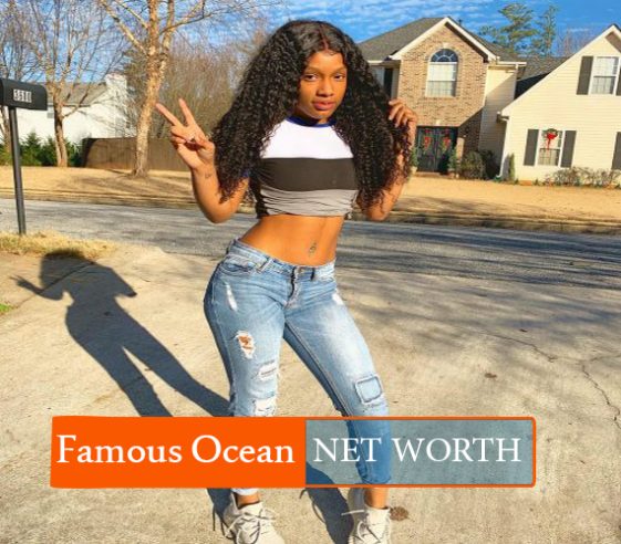 Famous Ocean Net Worth – Net Worth Planet